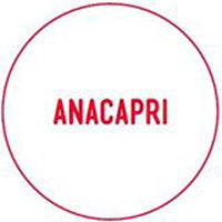 Anacapri Shoes – A Little Shop
